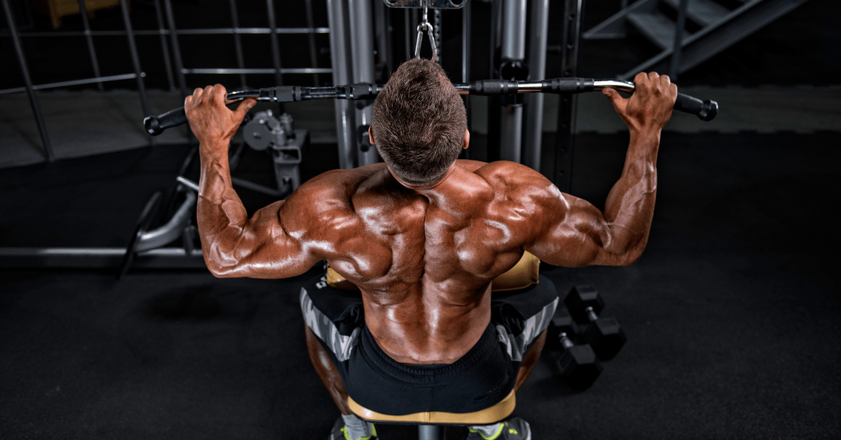 How to Build Lateral Muscles Effectively – Powertec
